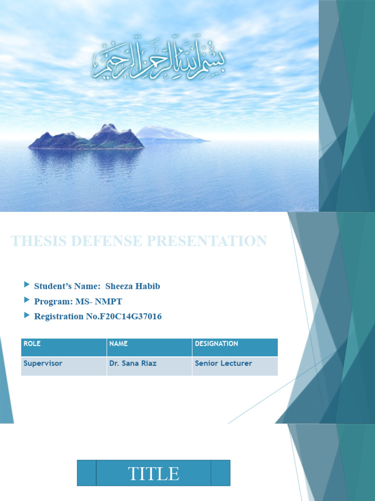 Sheeza Habib Presentation | PDF