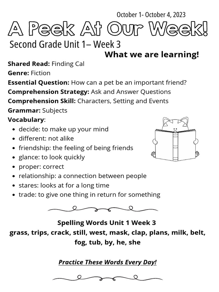 Week 3 Grade 2 Homework | PDF