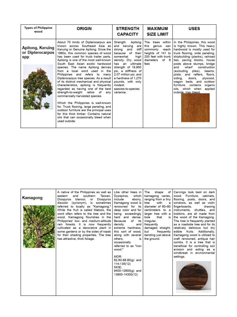 Philippine Hardwood Types and Uses | PDF | Wood | Trees
