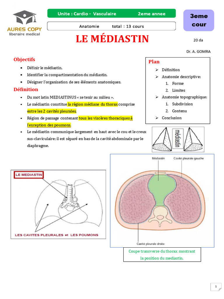 Le Médiastin | PDF
