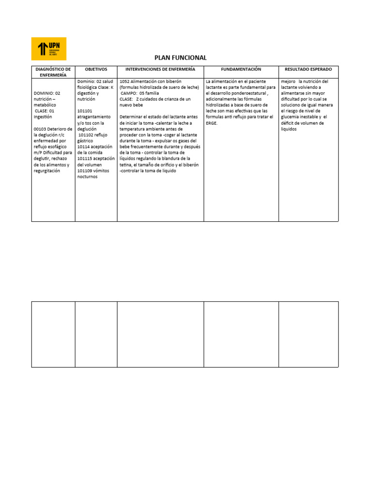 Kathy Cubas PLAN FUNCIONAL | PDF