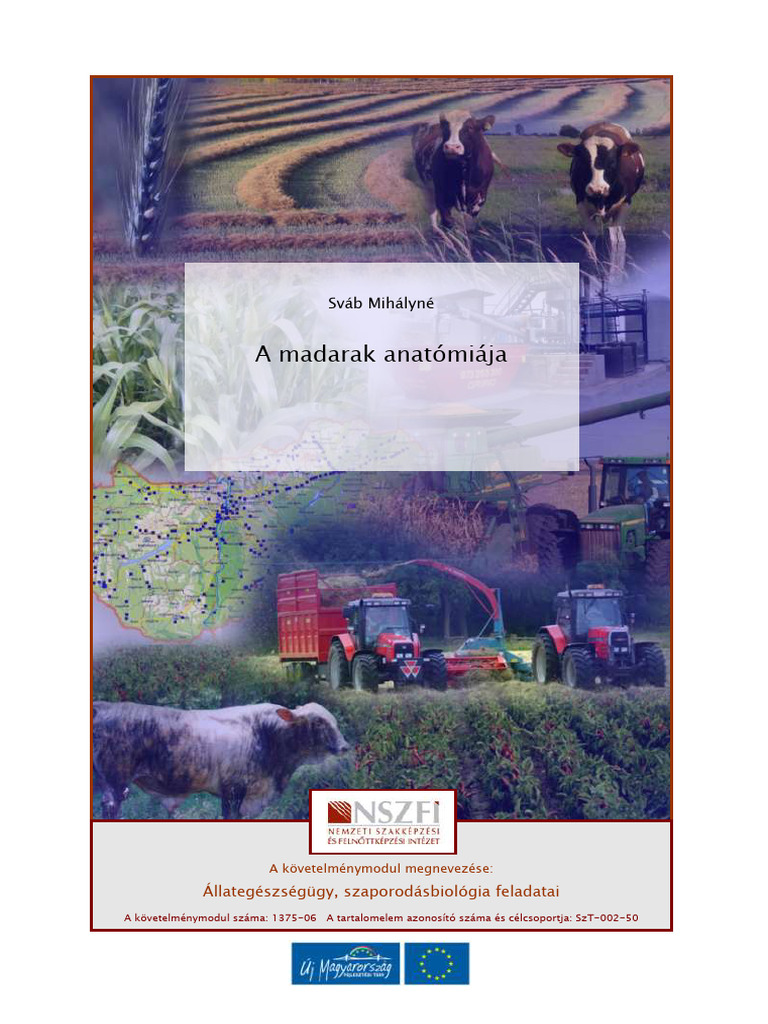 A Madarak Anatómiája | PDF