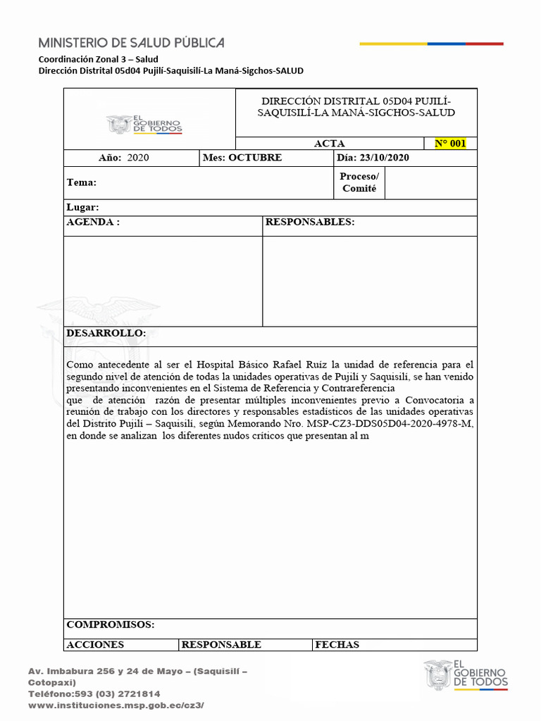 MODELO DE ACTA AGOSTO 2020 | PDF