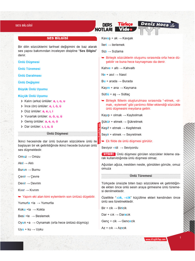Ses Bilgisi Deniz Hoca 2024 TYT | PDF
