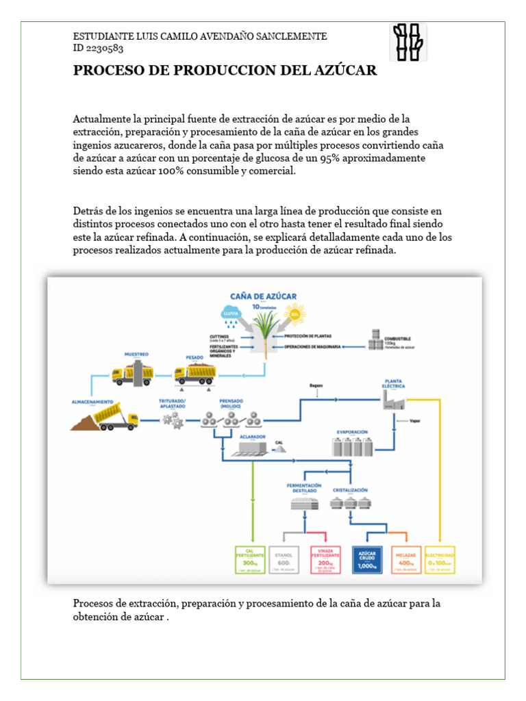 proceso de fabricación de azúcar | PDF | Melaza | Azúcar
