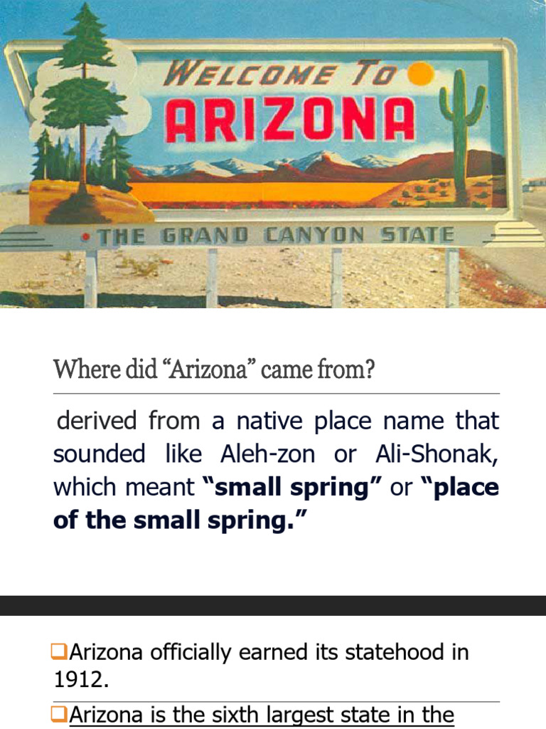 ARizona | PDF