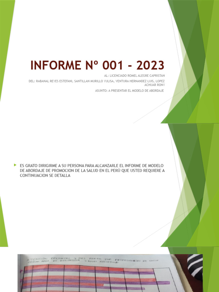 Informe #001 - 2023 | PDF | Adultos | Adolescencia