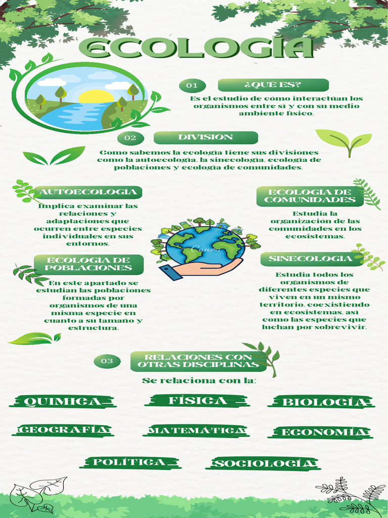 Infografía Ecología | PDF