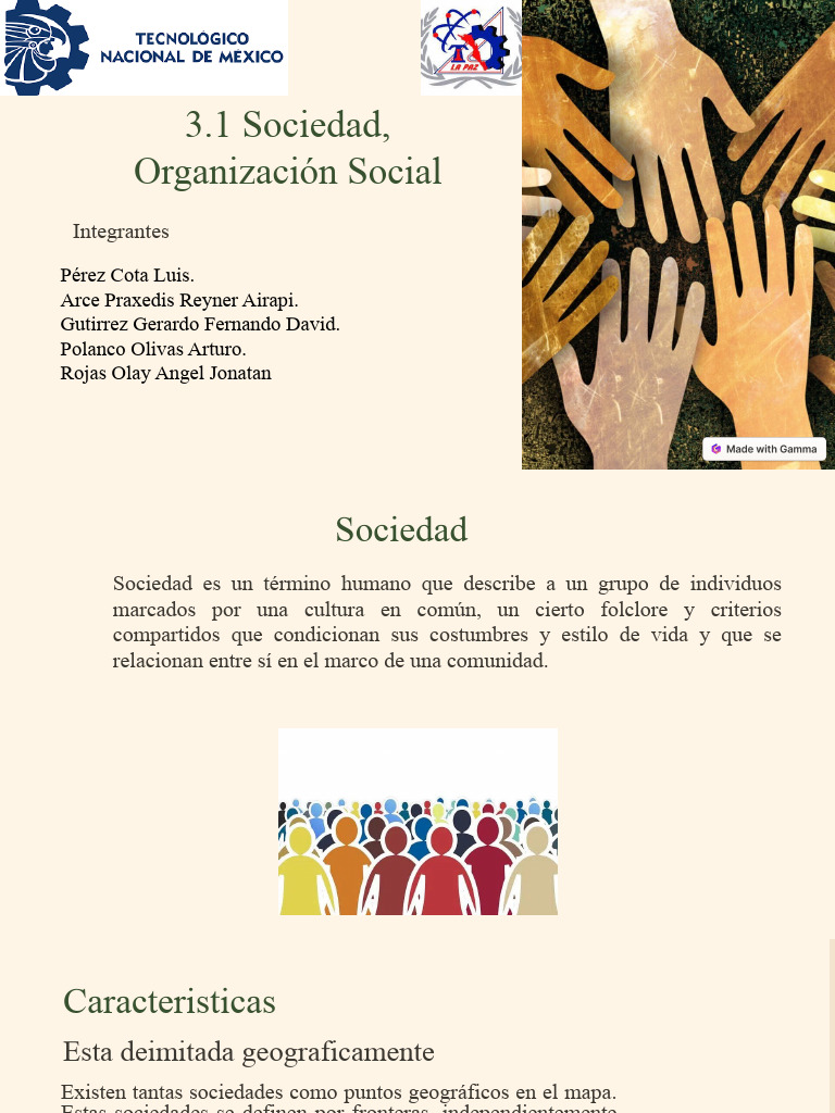 Sociedad Organizacion Social | PDF | Sociedad