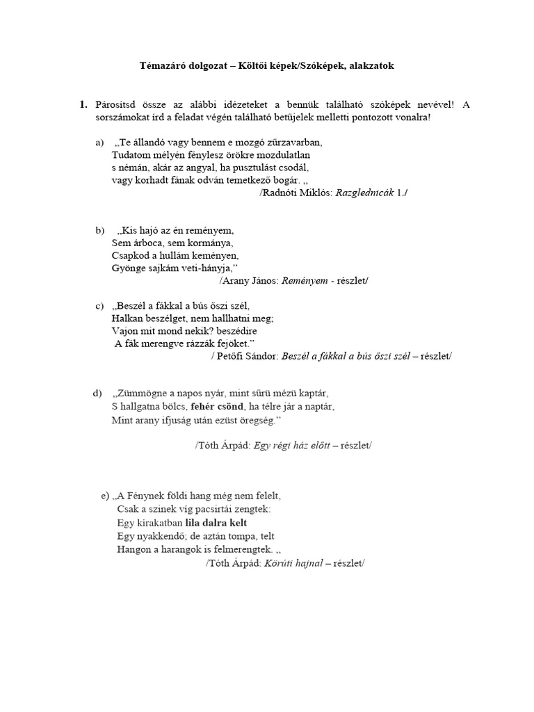 Témazáró Dolgozat - 5. Félév (Bagdi Zsuzsanna) | PDF