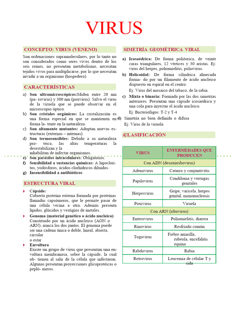 VIRUS | PDF | Virus | Rna