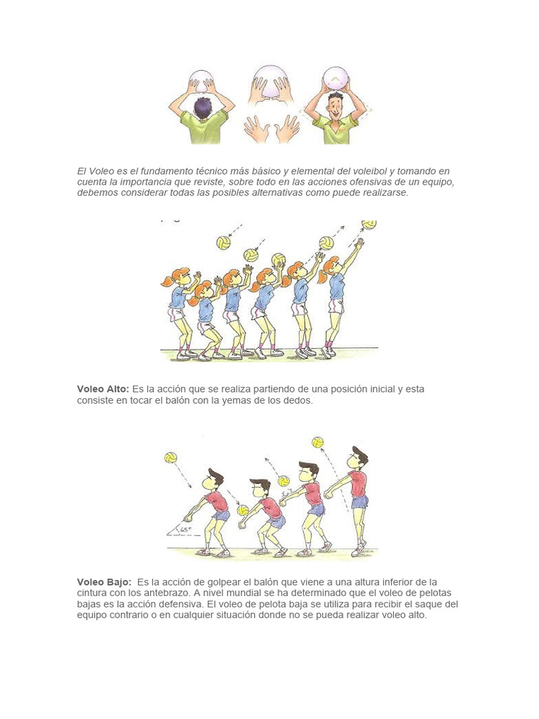 El Voleo Es El Fundamento Técnico Más Básico y Elemental Del Voleibol y ...
