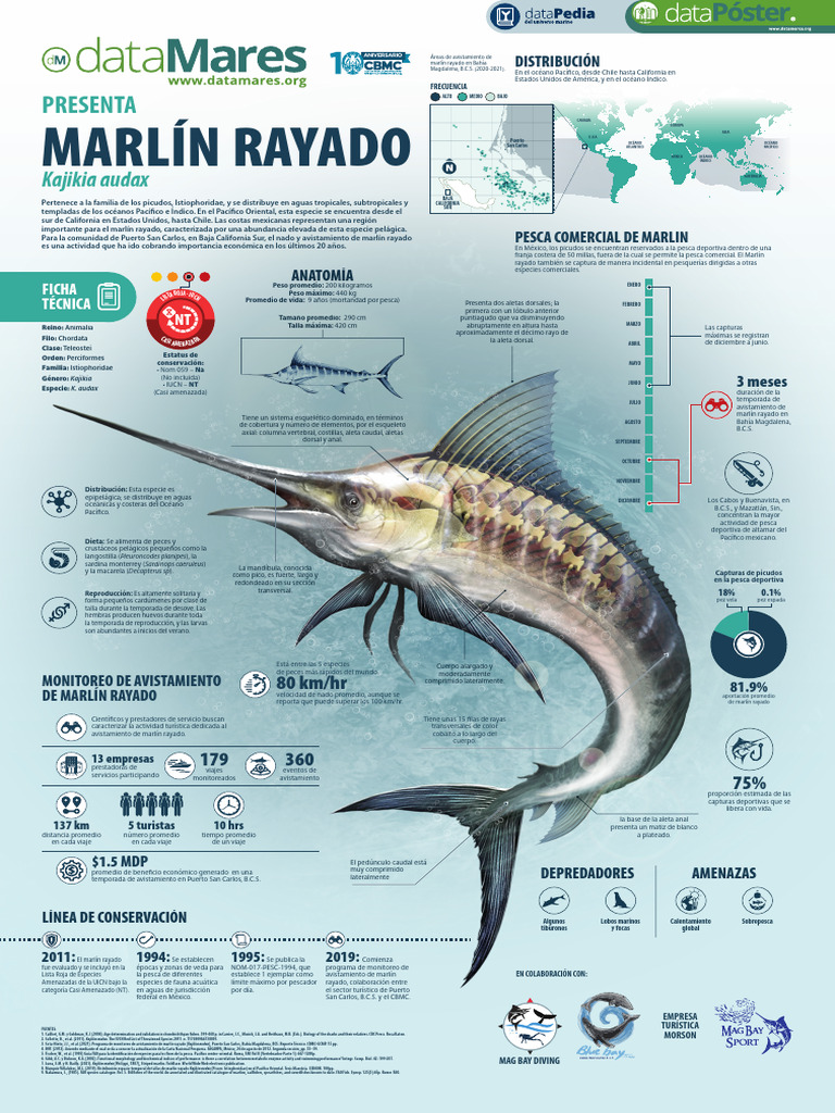 Infoposter Marlin | PDF | océano Indio | Pescado