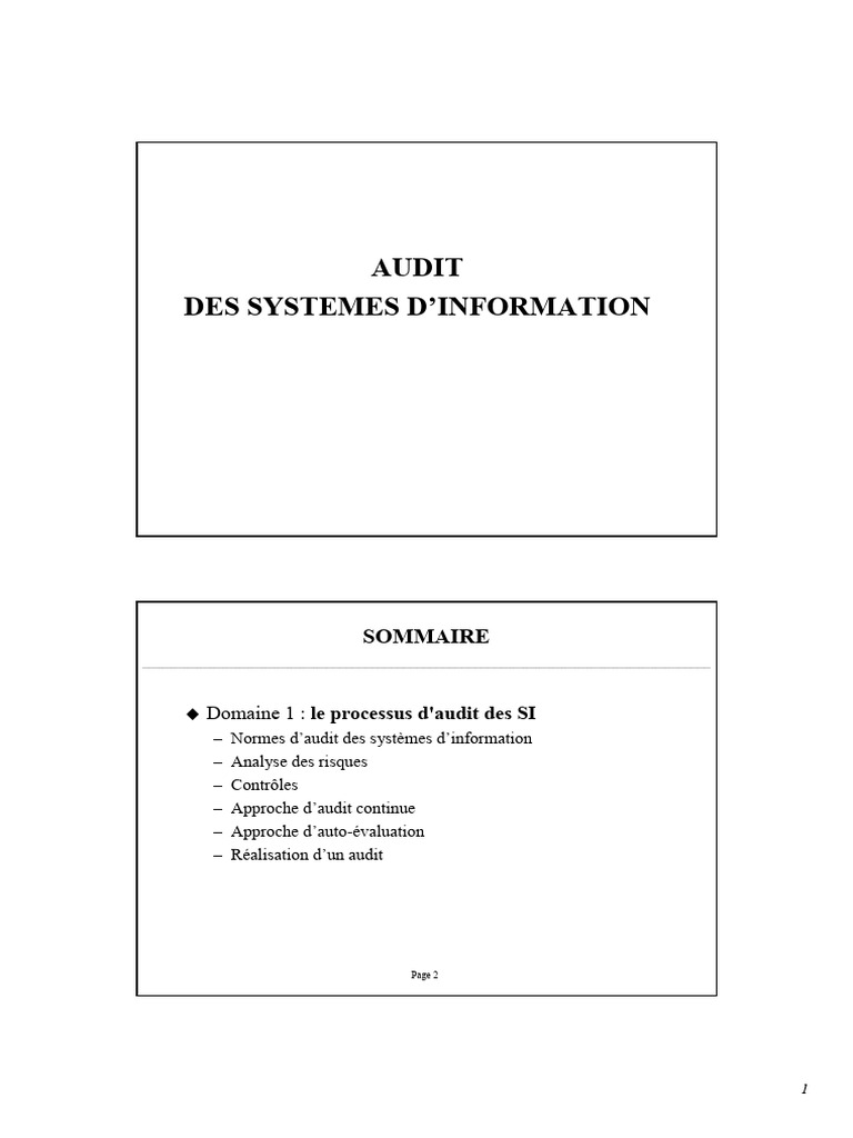 Audit des Systèmes d'Information : Guide Complet | PDF | Audit | Contrôle interne