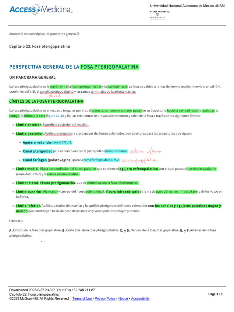 Fosa Pterigopalatina | PDF | Anatomía humana | Cabeza y cuello humanos