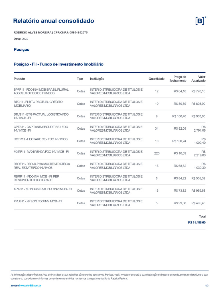 Relatorio Consolidado Anual 2022 | PDF