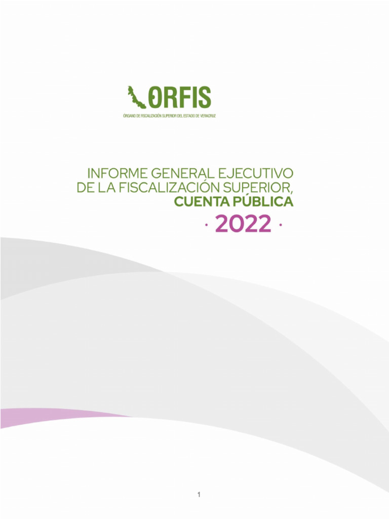 Informe 2022 | PDF | Auditoría | Presupuesto