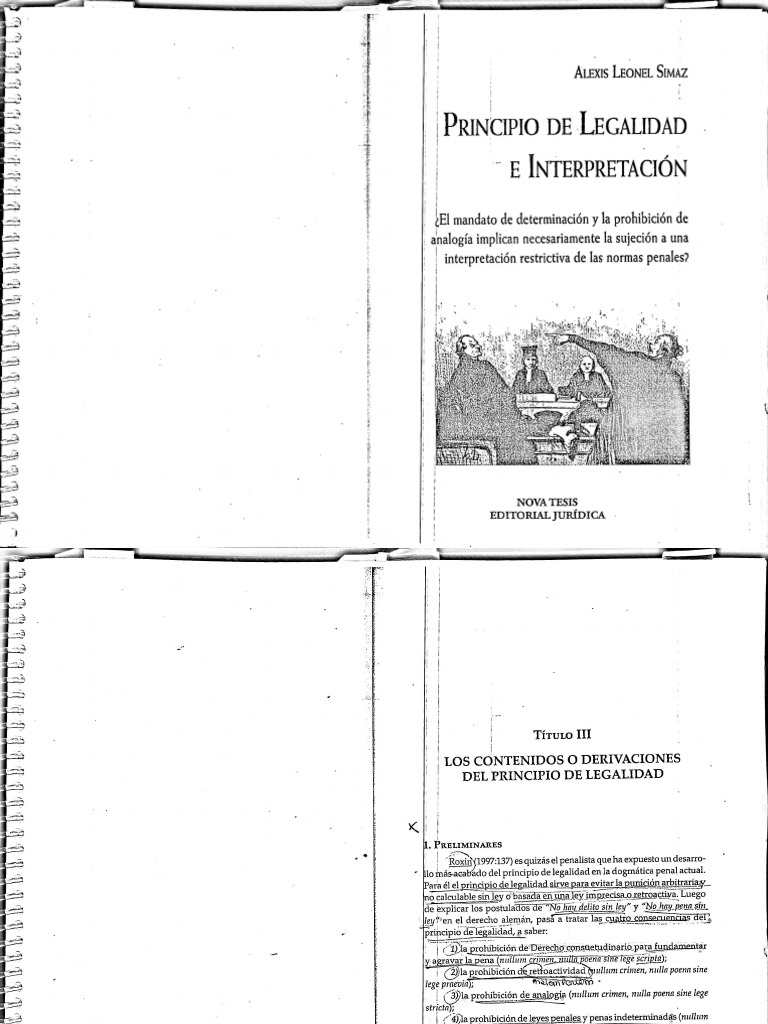 Alexis Leonel Simaz - Principio de Legalidad e Interpretación | PDF