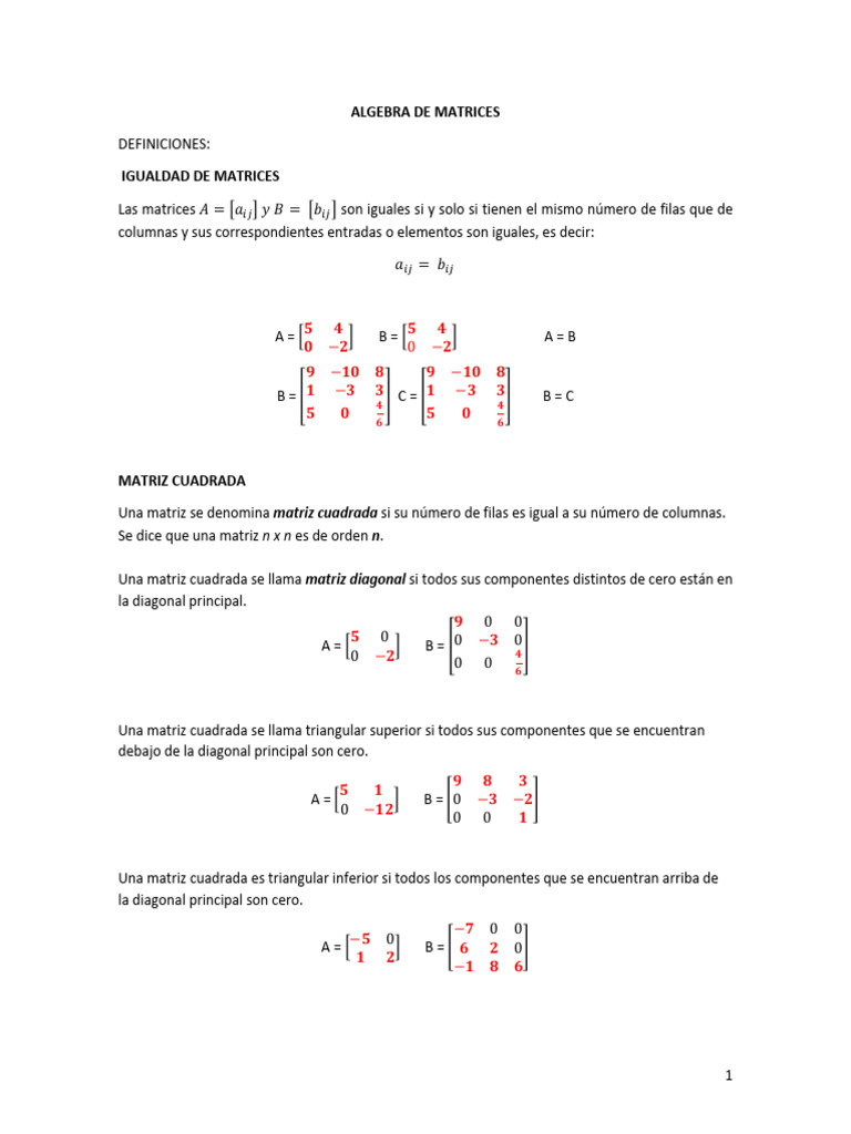 Algebra de Matrices 1 | PDF