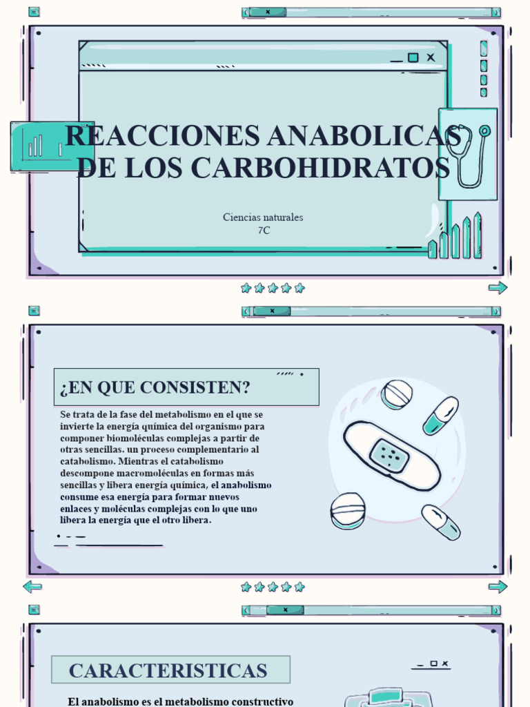 Exposición-Reacciones Anabolicas de Los Carbohidratos 7c | PDF
