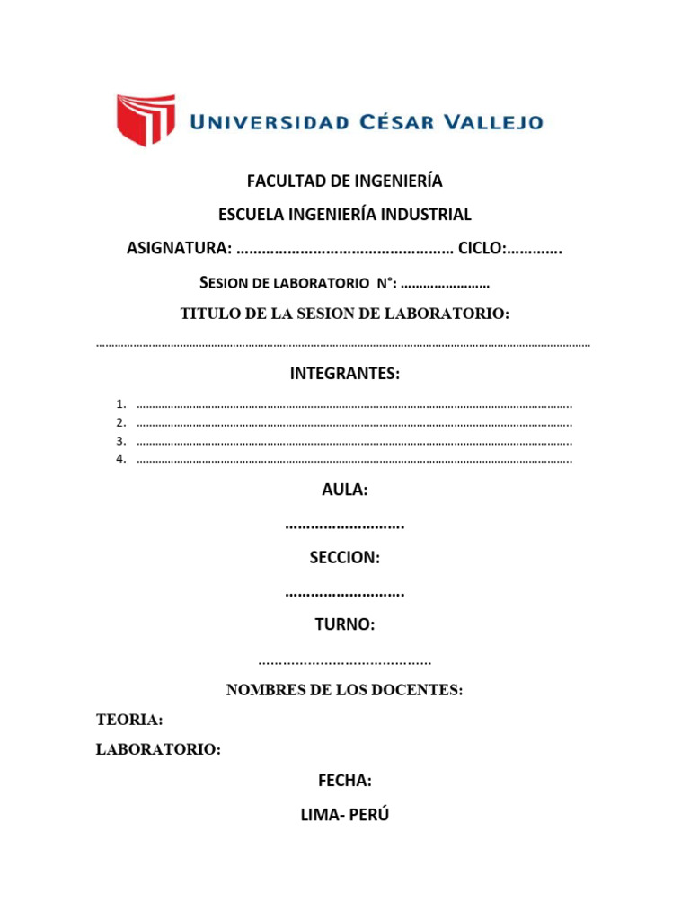 Modelo de Estructura para Informe | PDF
