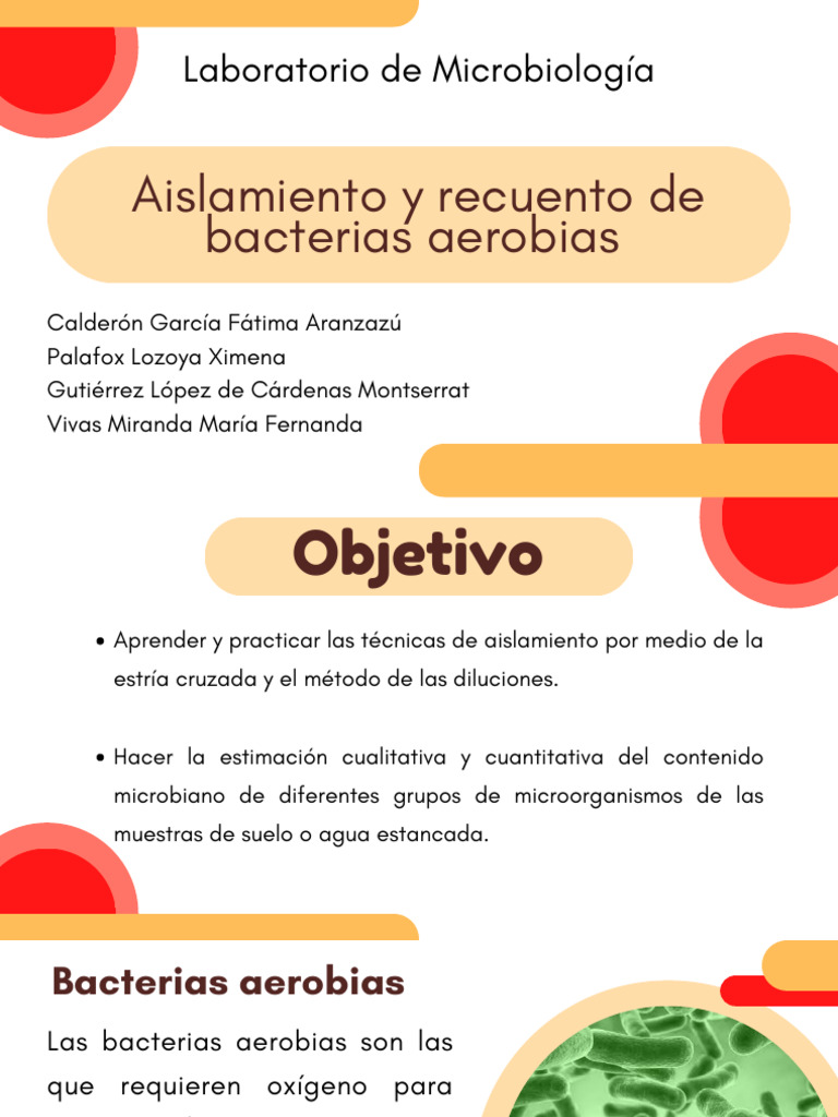 P2.Bacterias Aerobias | PDF