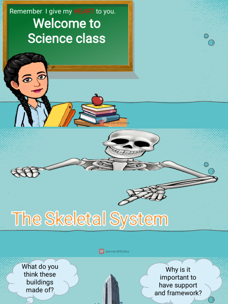 The Skeletal System.pptx G 6 | PDF | Skeleton | Musculoskeletal System