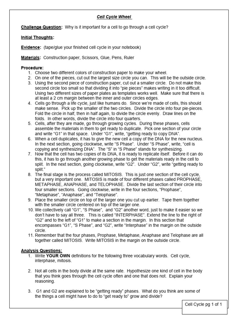 Cell Cycle Wheel Directions | PDF