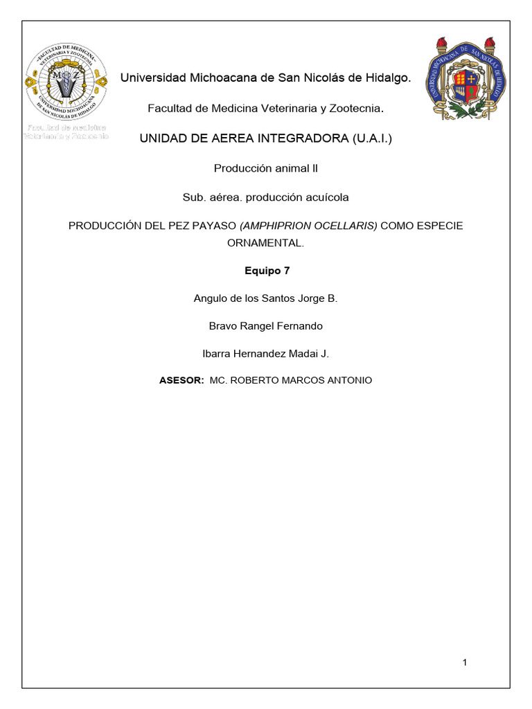 Final de Pez Payaso | PDF