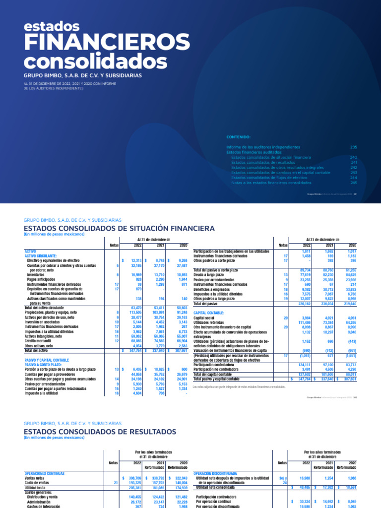 Bimbo Estados Financieros | PDF