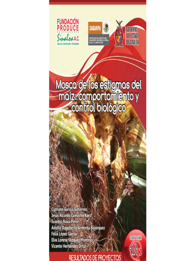 Mosca de Los Estigmas Del Maiz, Comportamiento y Control Biologico ...