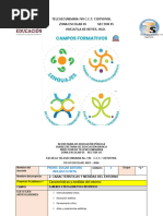 Laminas Descriptivas | PDF | Aprendizaje