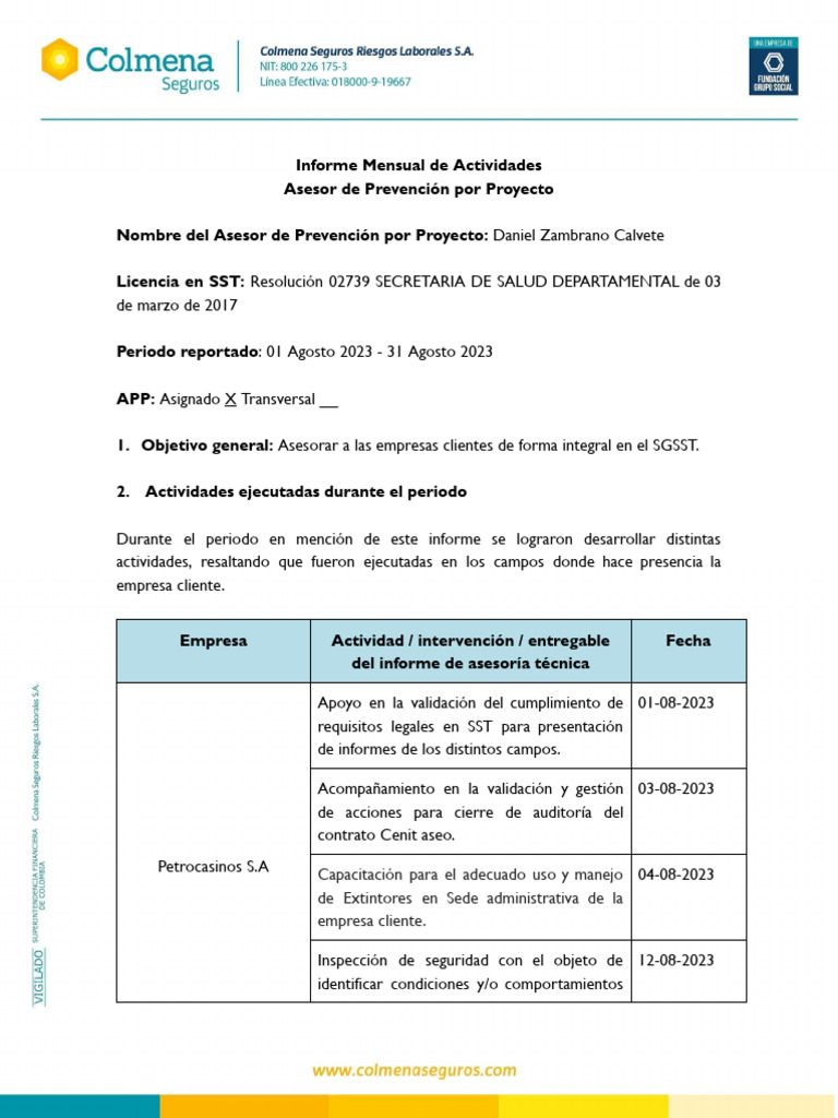 Ejemplo Informe de Gestion | PDF