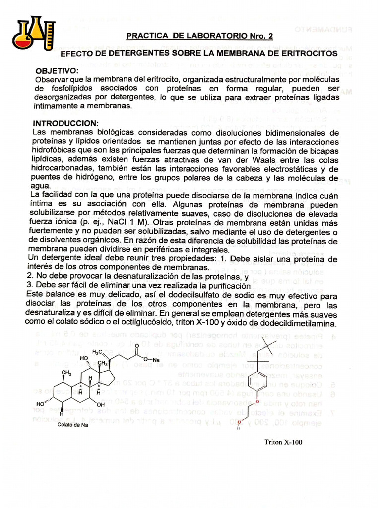 Documento 78 | PDF