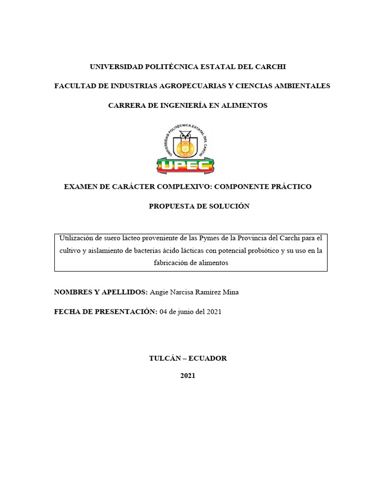 Caso Práctico - Angie Ramírez Mina - Final1-1 | PDF | Leche | Productos lácteos