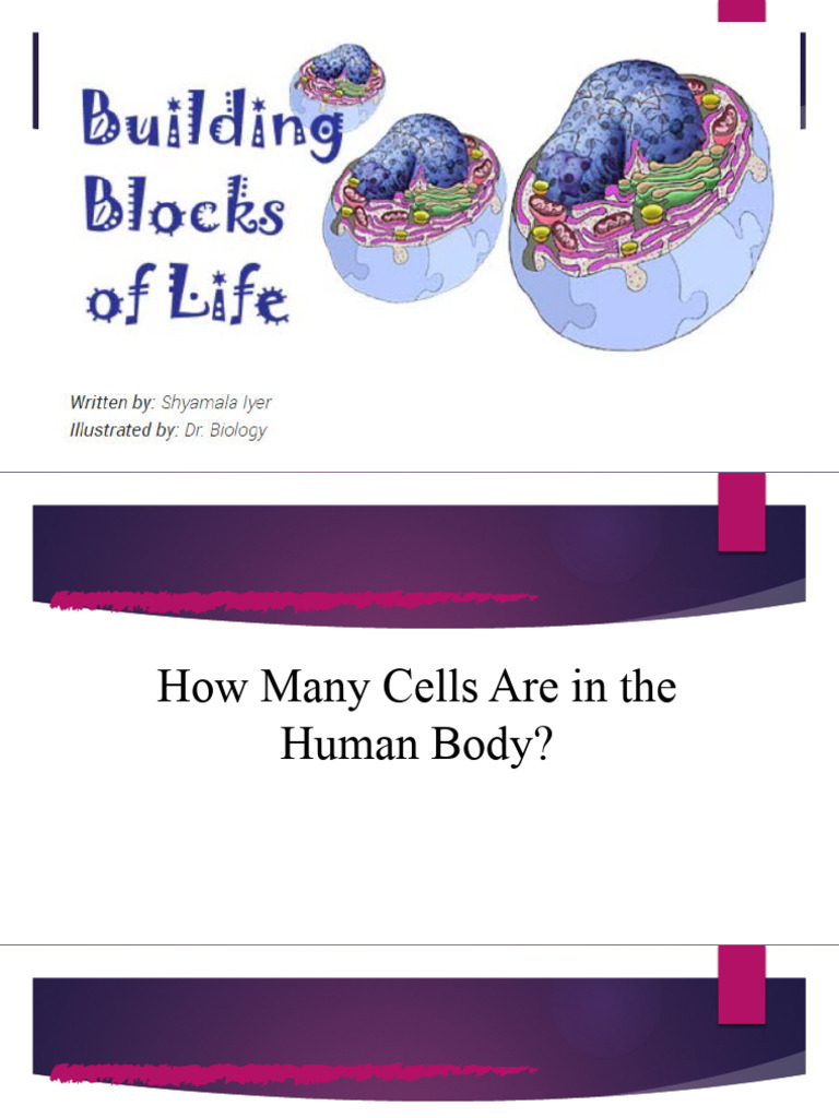 Cell Modification - Apical Only | PDF