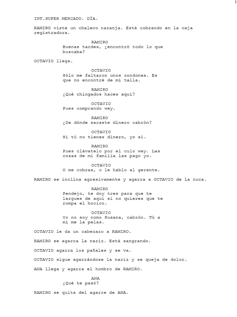 Guión Amores Perros | PDF