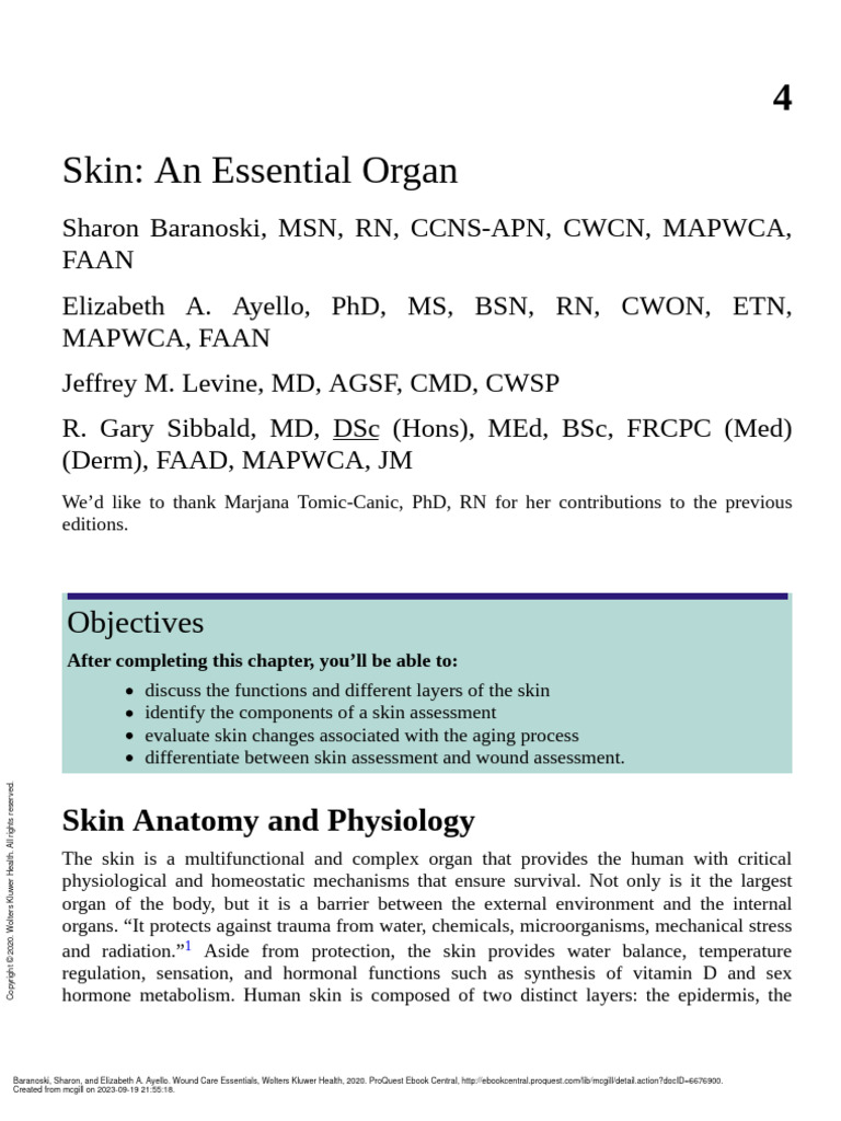 Chapt 4 | PDF | Epidermis | Skin