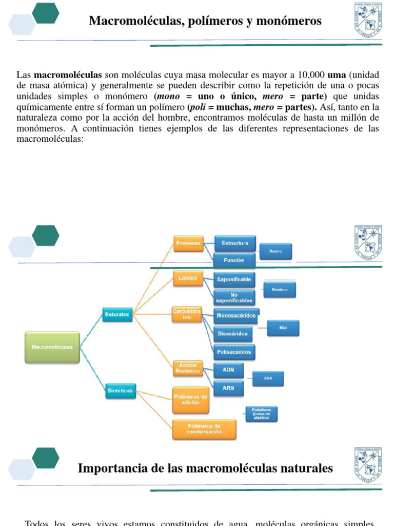 4 - Macromoleculas | PDF