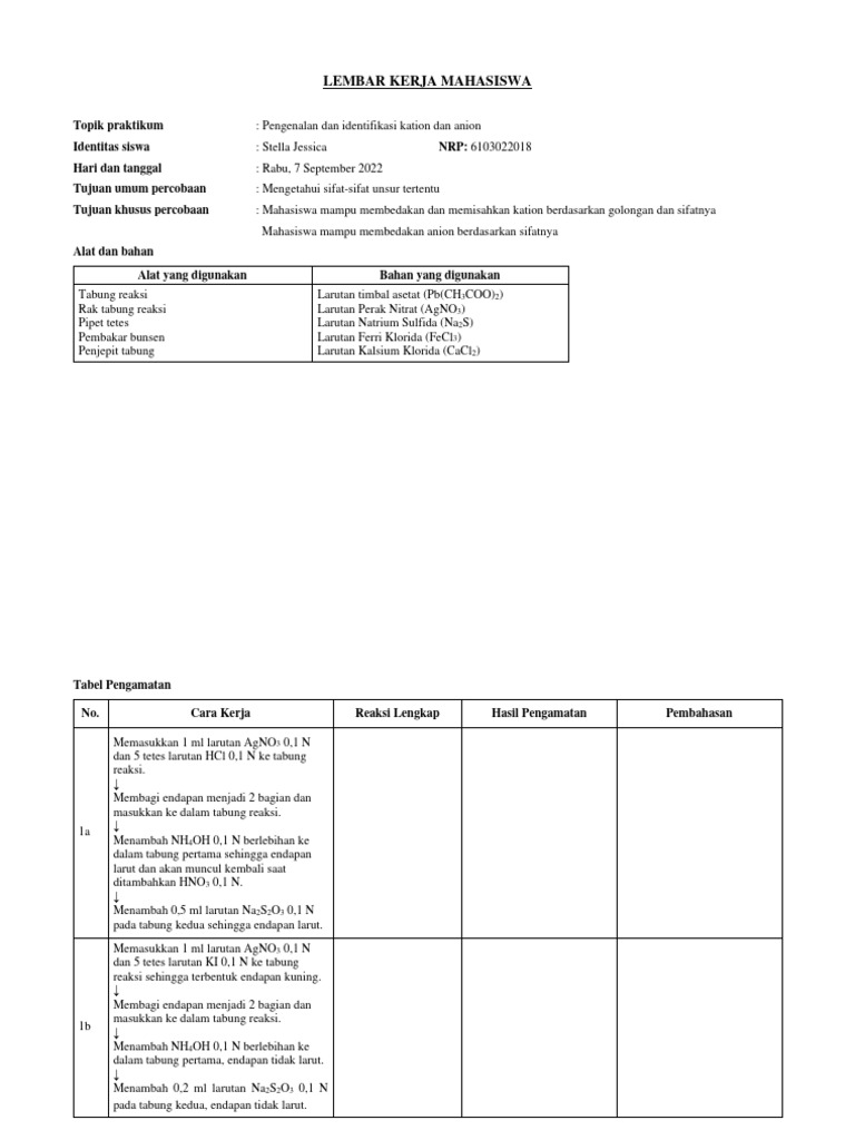 LKM 2 Kation Anion | PDF