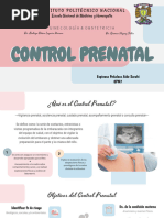 Carnet Del Embarazo | PDF