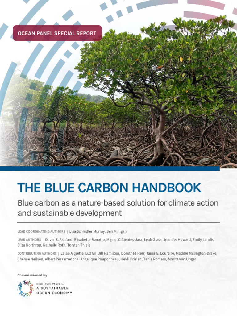 The Blue Carbon Handbook 1692192722 | PDF | Climate Change Mitigation ...