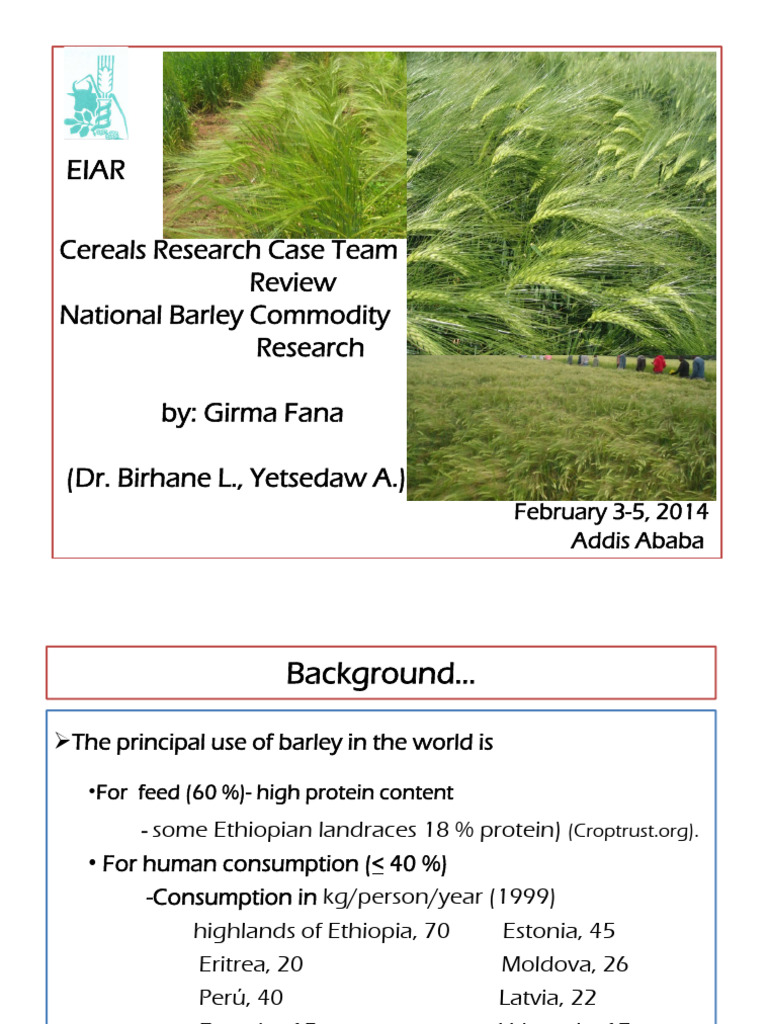 Barley National Review 2014 | PDF