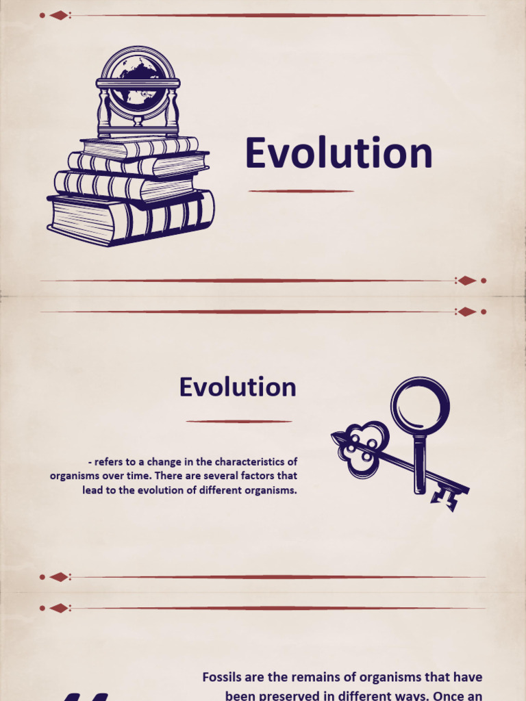 Understanding Evolution and Fossils | PDF | Science & Mathematics