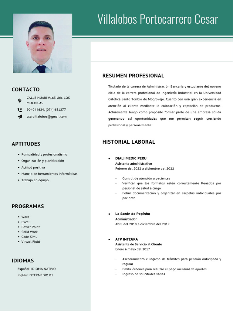 CV Cesar Villalobos Portocarrero 3.0 | PDF | Negocios