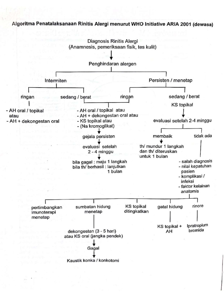 Algoritma Penatalaksanaan Rhinitis Alergi | PDF