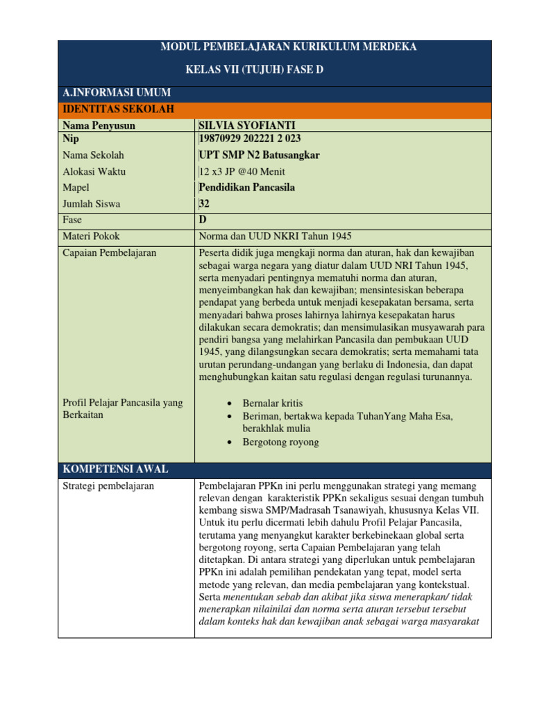 RPP PKN - Norma | PDF