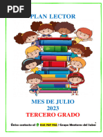 Plan Lector 2 Grado | PDF | Comprensión lectora | Enseñando