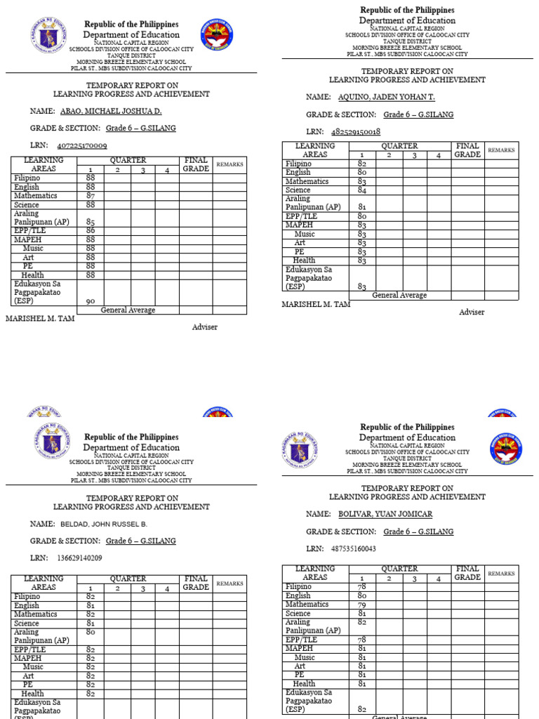 Temporary Card G.silang 2022 2023 | PDF | Philippines | Government