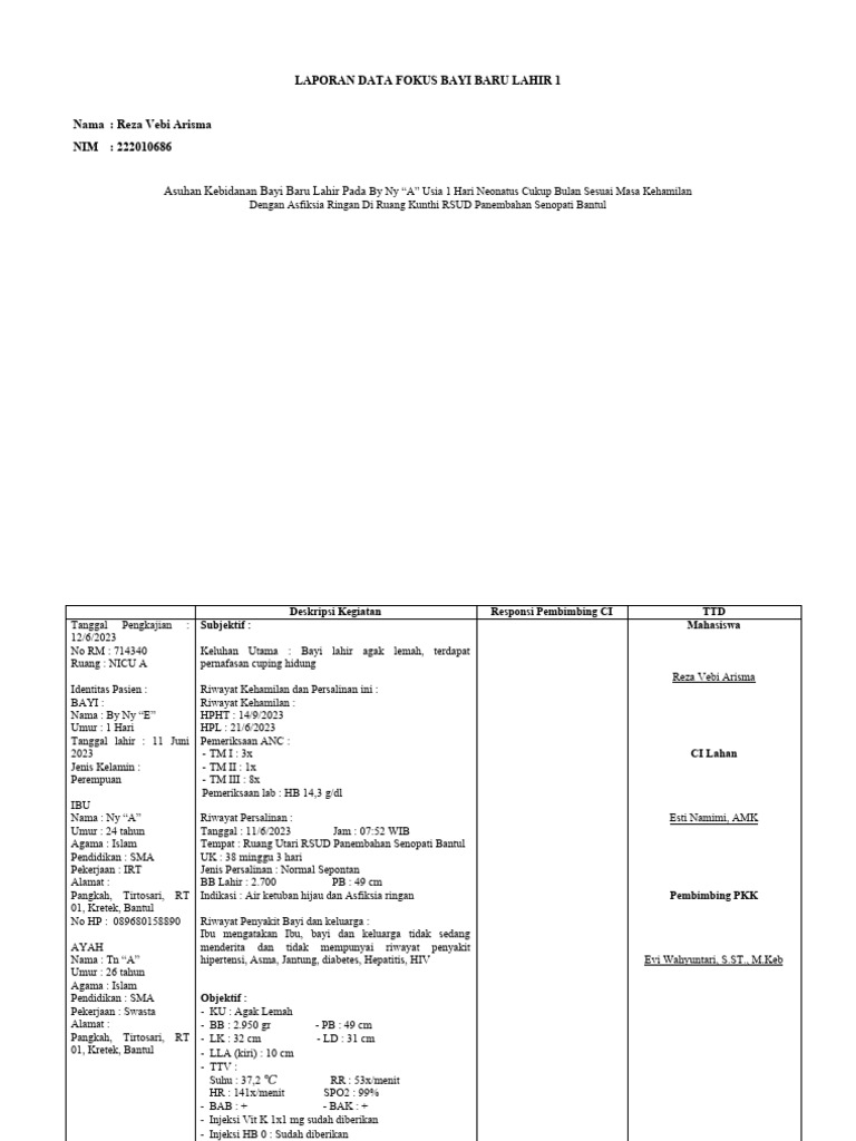 9 Laporan Data Fokus Bayi Baru Lahir | PDF
